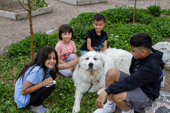 Program Spotlight: Seeds of Hope - The IRC in Denver’s New Roots ...