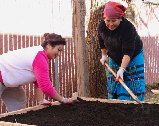 Program spotlight: New Roots in Sacramento | The IRC