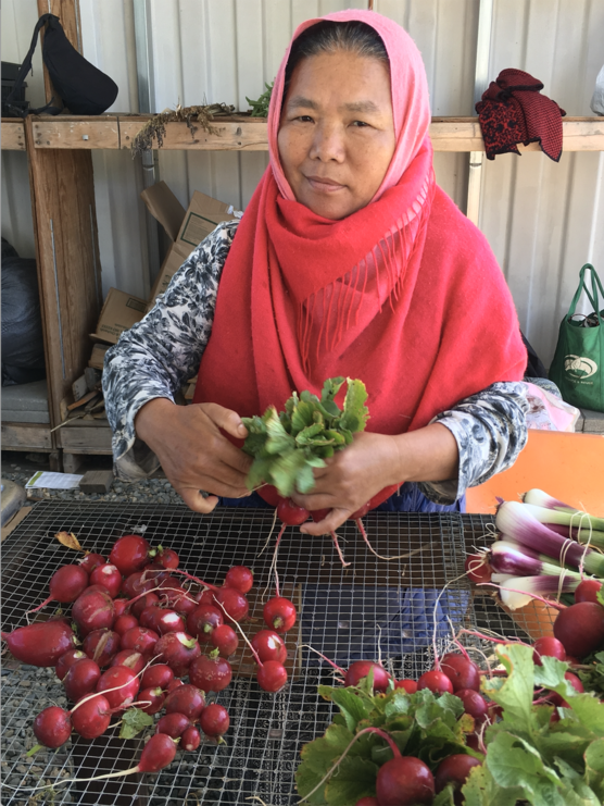 New Roots in Sacramento | The IRC