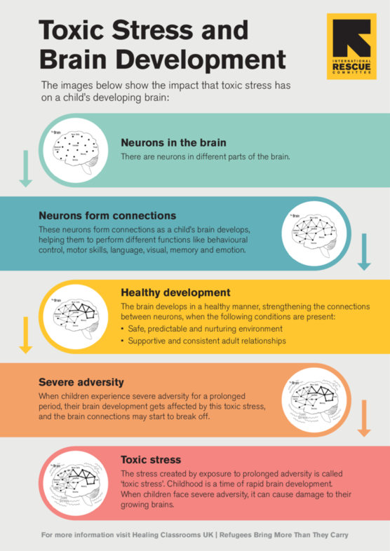 Toxic Stress and Brain Development Poster | The IRC