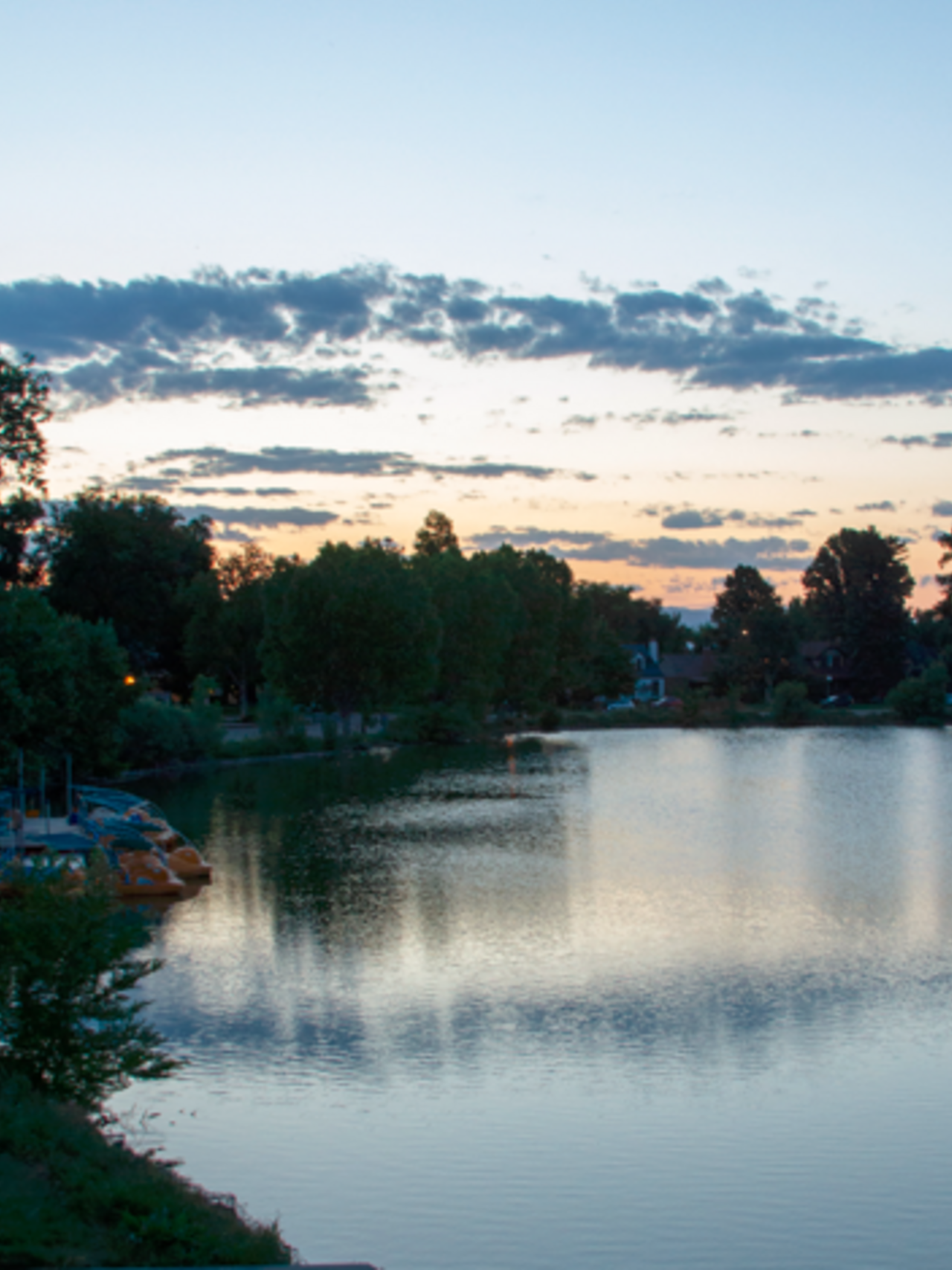 The IRC in Denver's Welcome Home Event 2023 - A great success | The IRC
