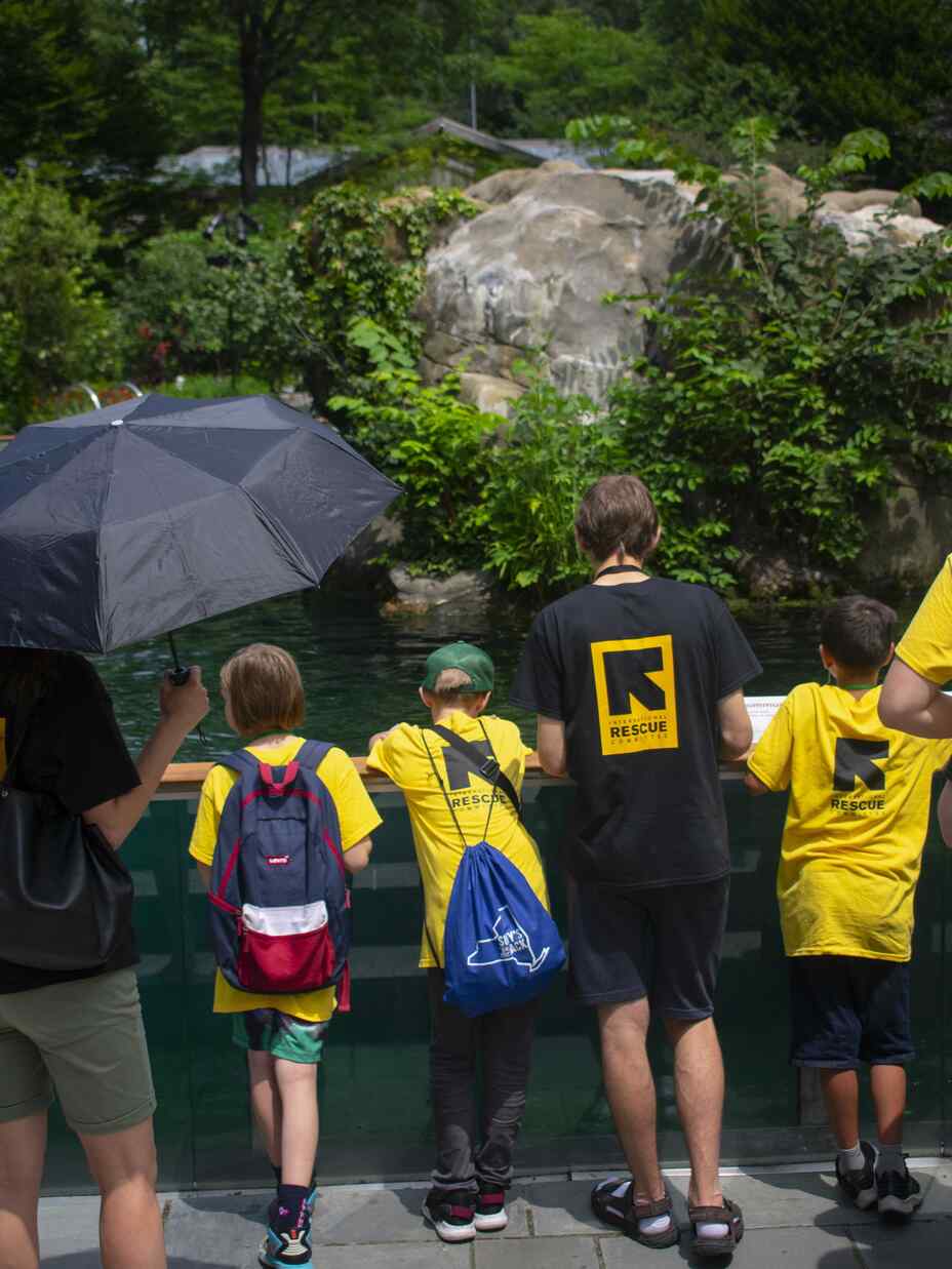 Bringing LIGHT to summer learning: IRC in NY’s 23rd Annual NYSA program ...