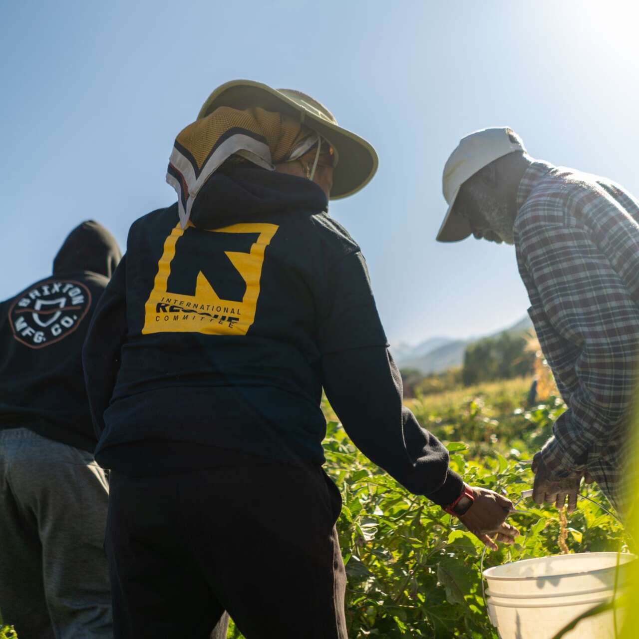 Denver, CO | The IRC