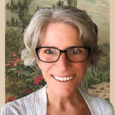 San Diego, CA | The IRC