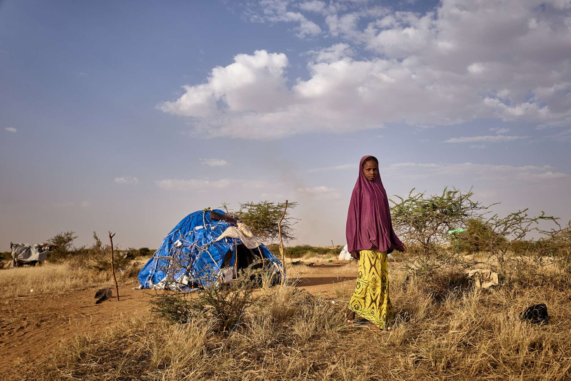 Crisis in Mali: What you need to know and how to help | International ...