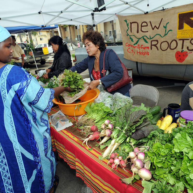 Health | International Rescue Committee (IRC)