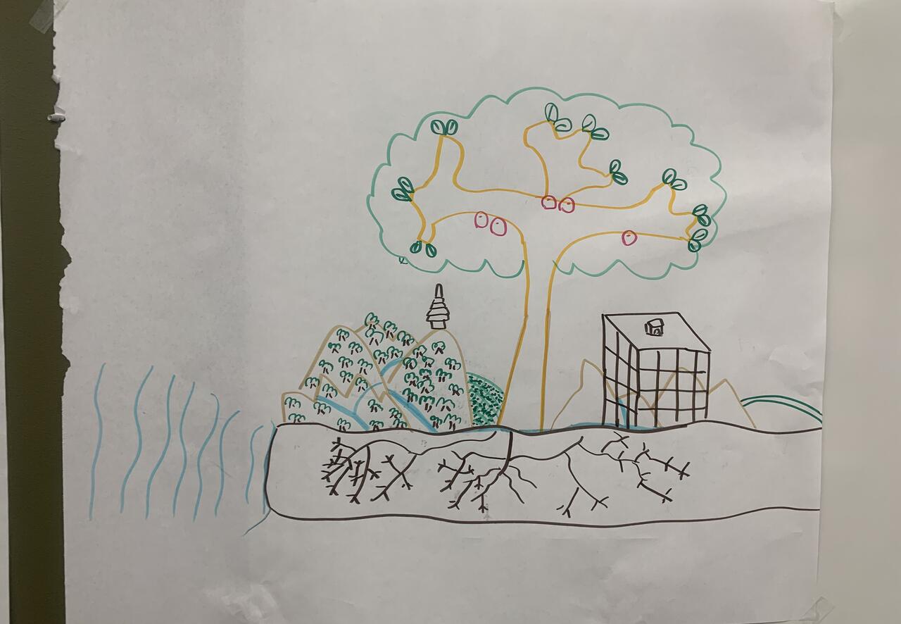 Welcome to the Tree of Life Wellness Workshop! | The IRC