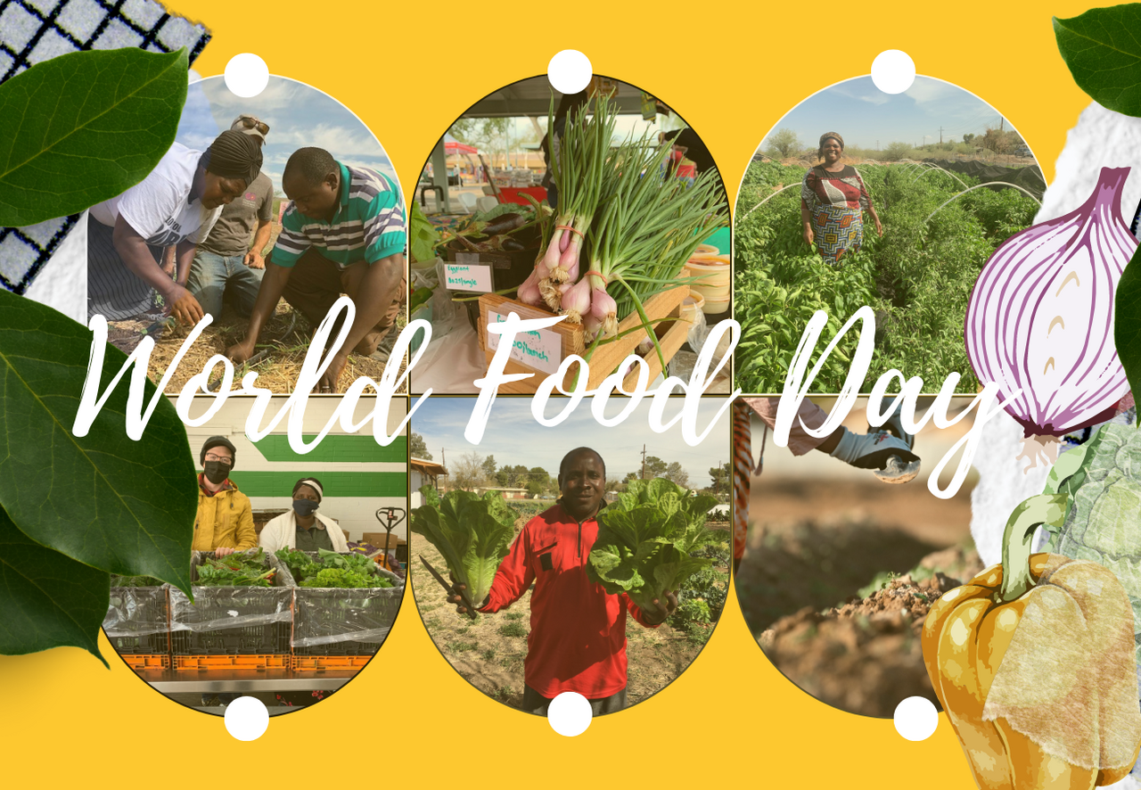 World Food Day 2022: A Little Patience Goes A Long Way | The IRC