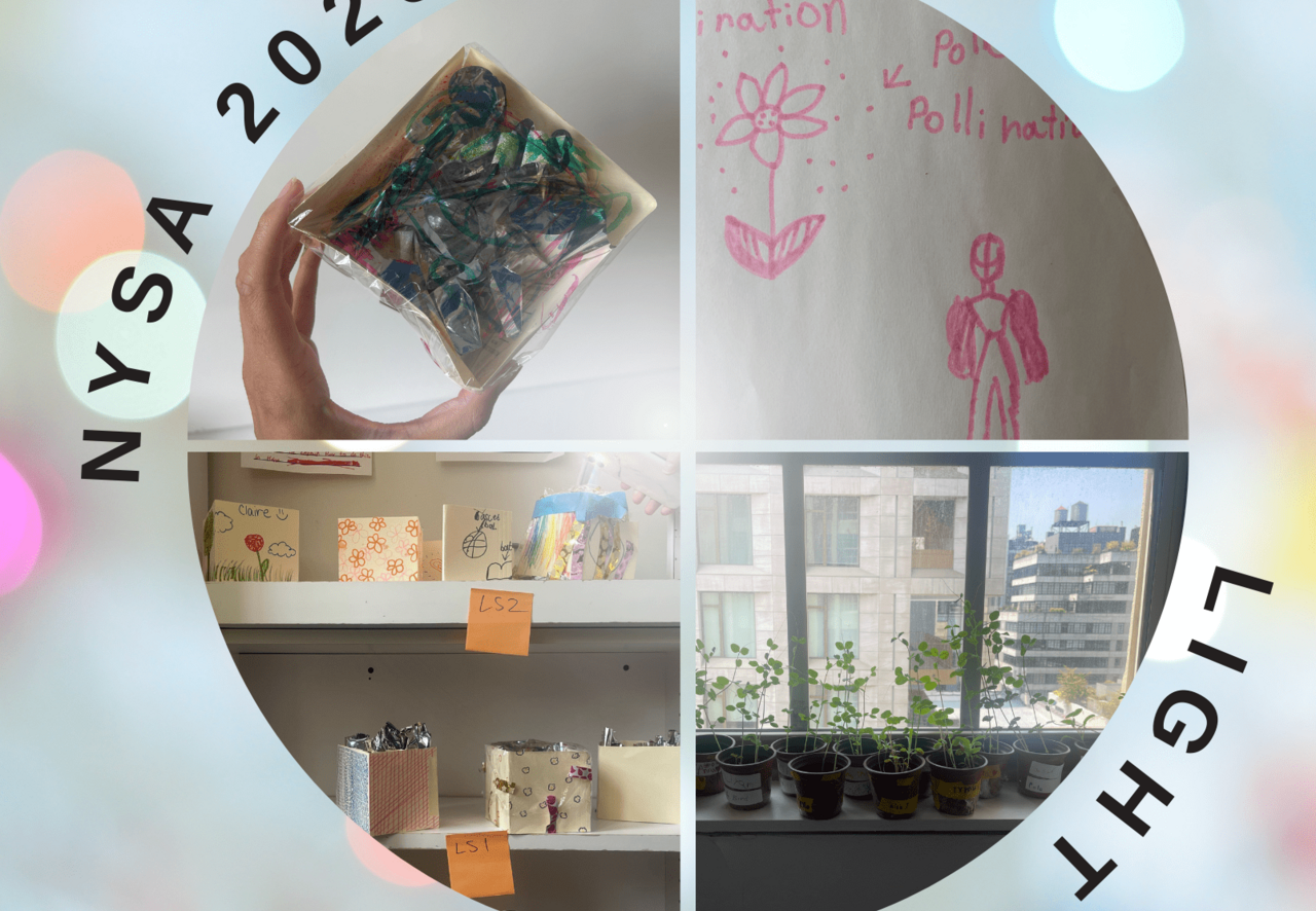 Bringing LIGHT to summer learning: IRC in NY’s 23rd Annual NYSA program ...