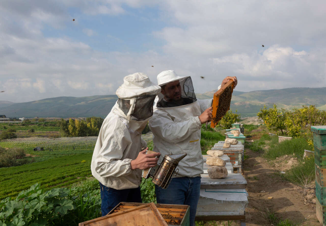 Catching up with the most passionate beekeeper in Jordan | The IRC