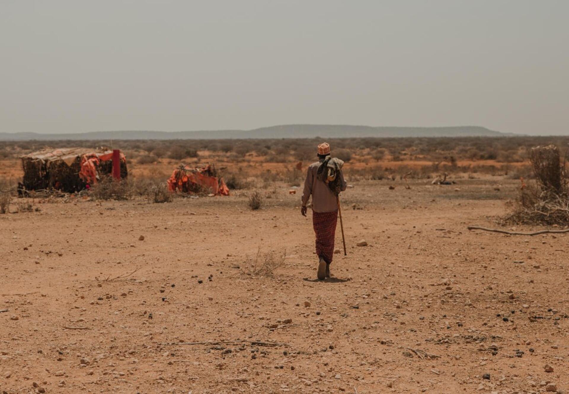 Why are children so vulnerable to famine and other hunger crises? | The ...