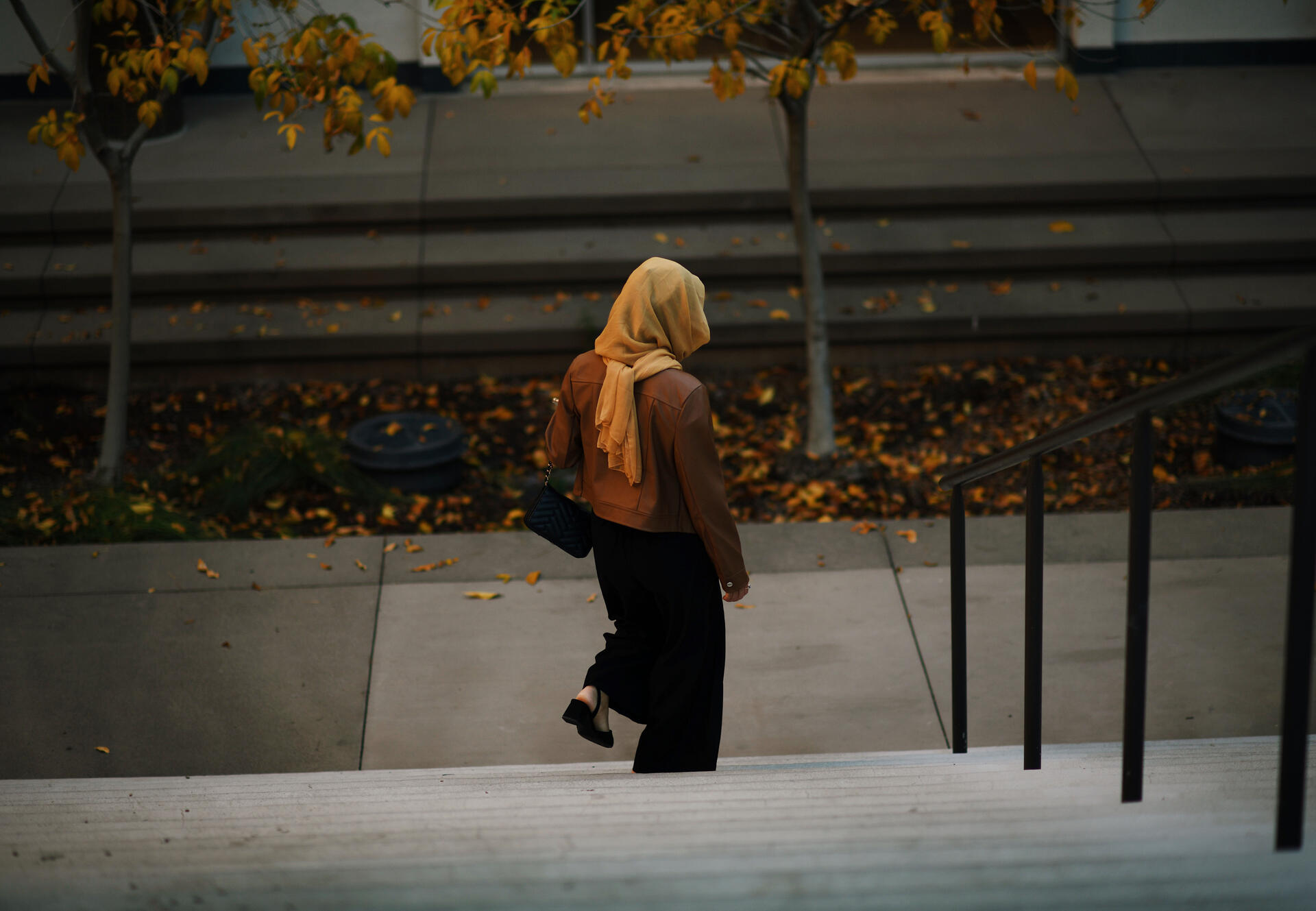 Salamati Rohi: breaking barriers, one conversation at a time | The IRC