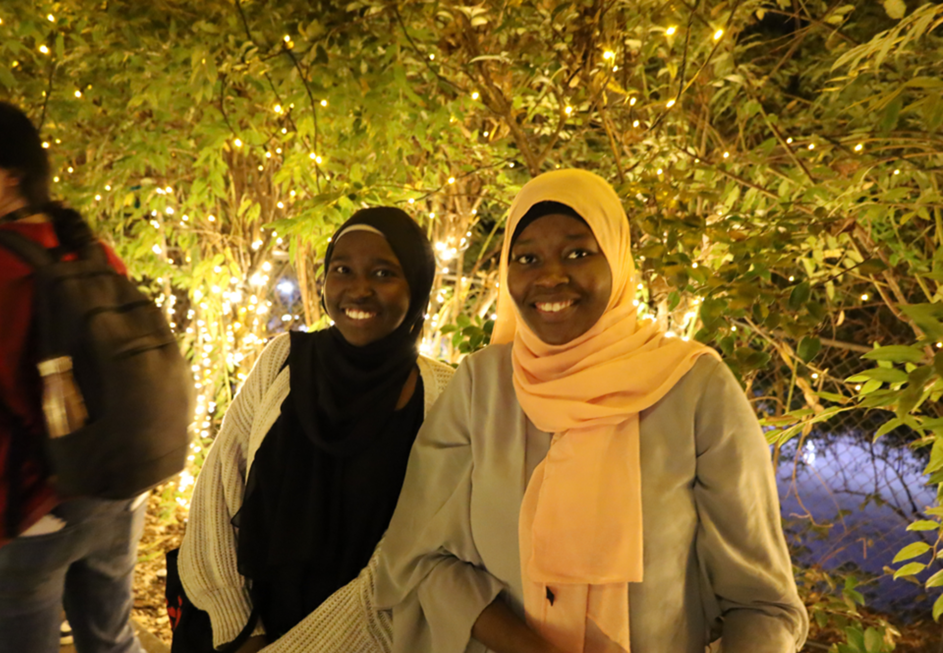 Garden Lights, Holiday Nights: Youth Futures students explore Atlanta ...