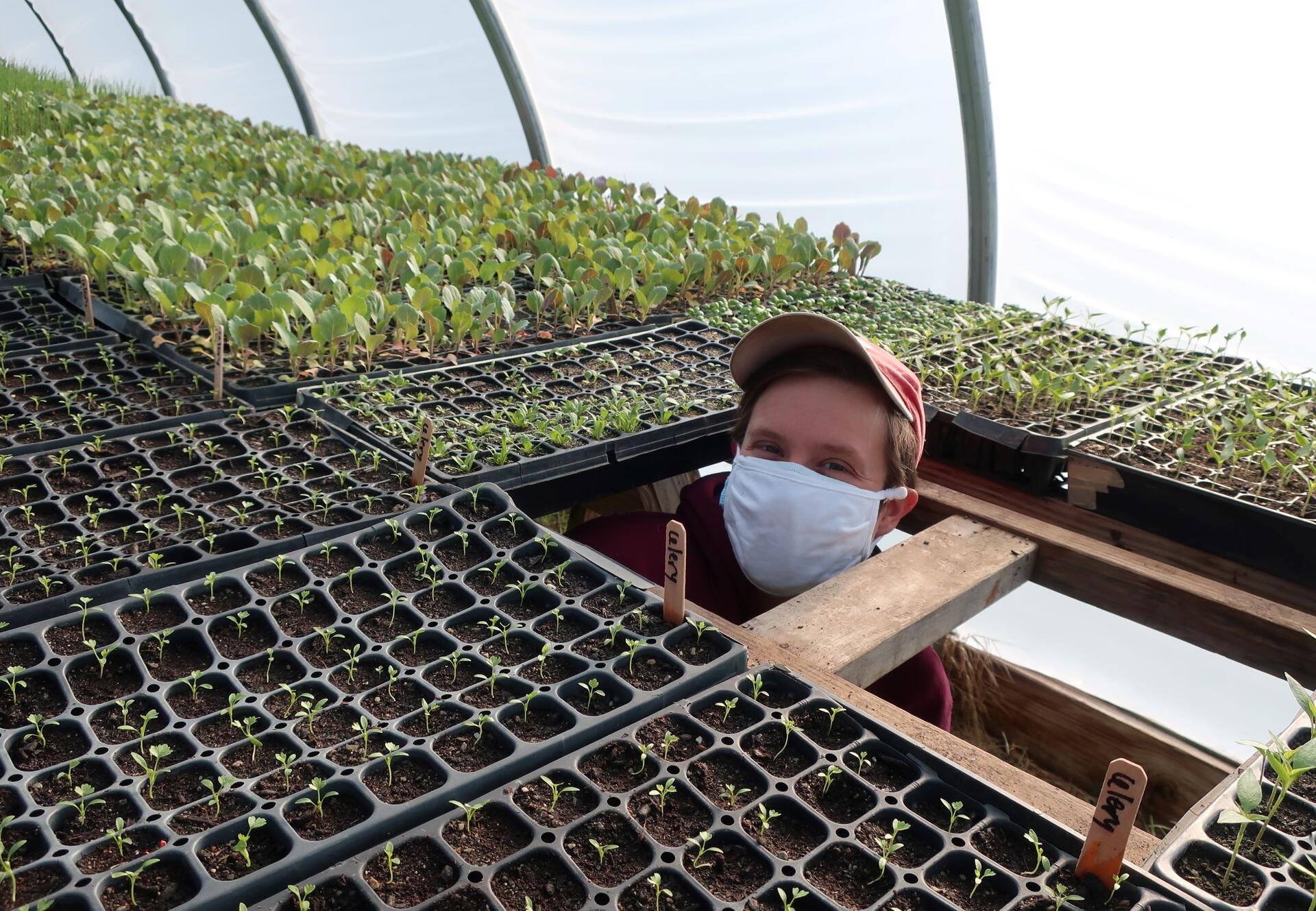 New Roots Thrives with Community Partnerships | International Rescue ...