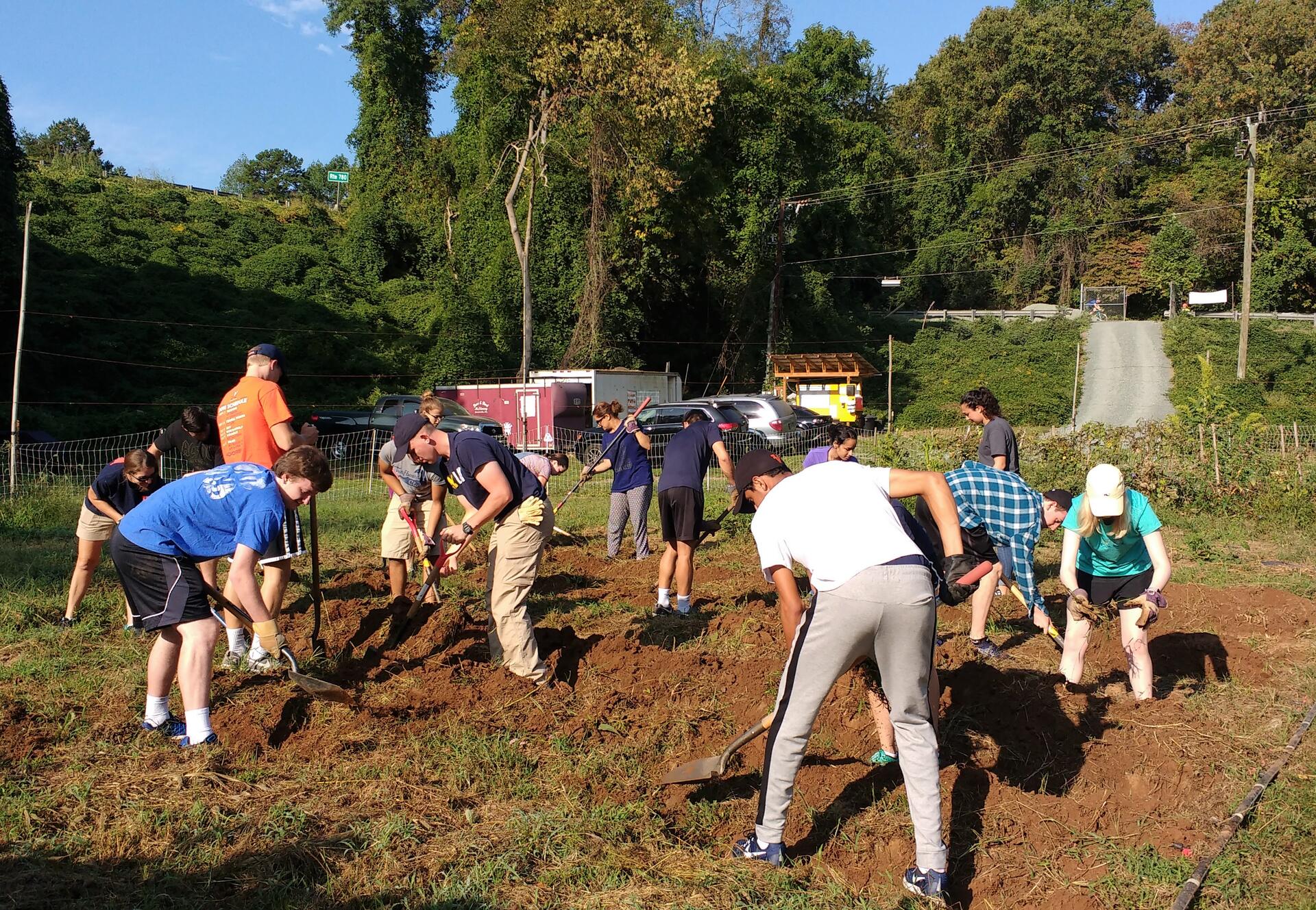 New Roots Farm Volunteer | The IRC