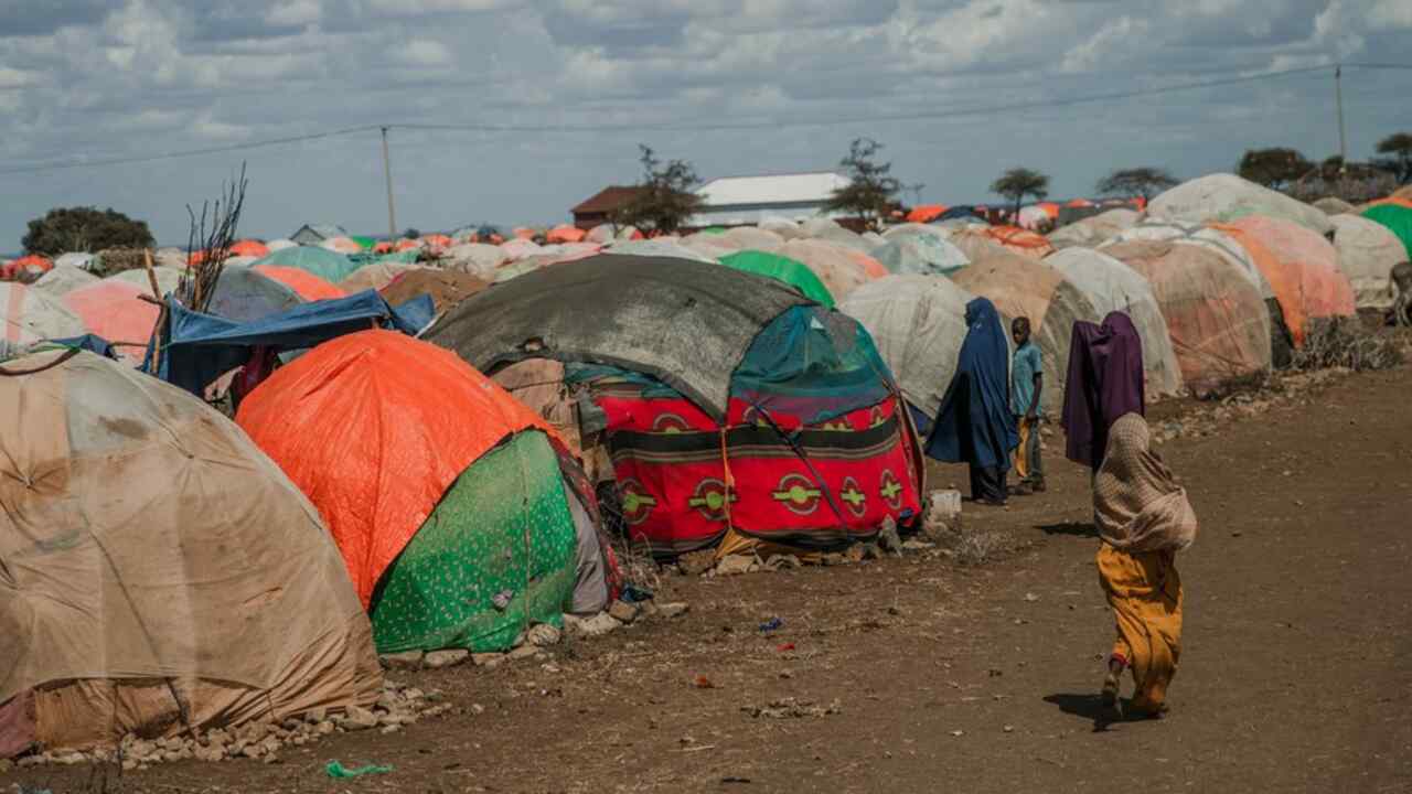 The IRC ramps up early action in Kenya and Somalia to respond to El ...