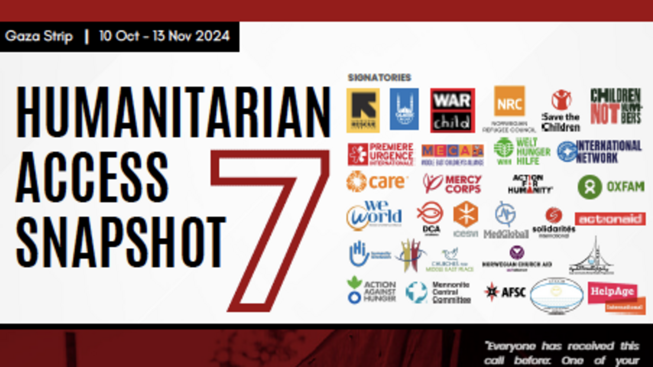 Gaza Humanitarian Access Snapshot #7: (10 October - 13 November 2024 ...