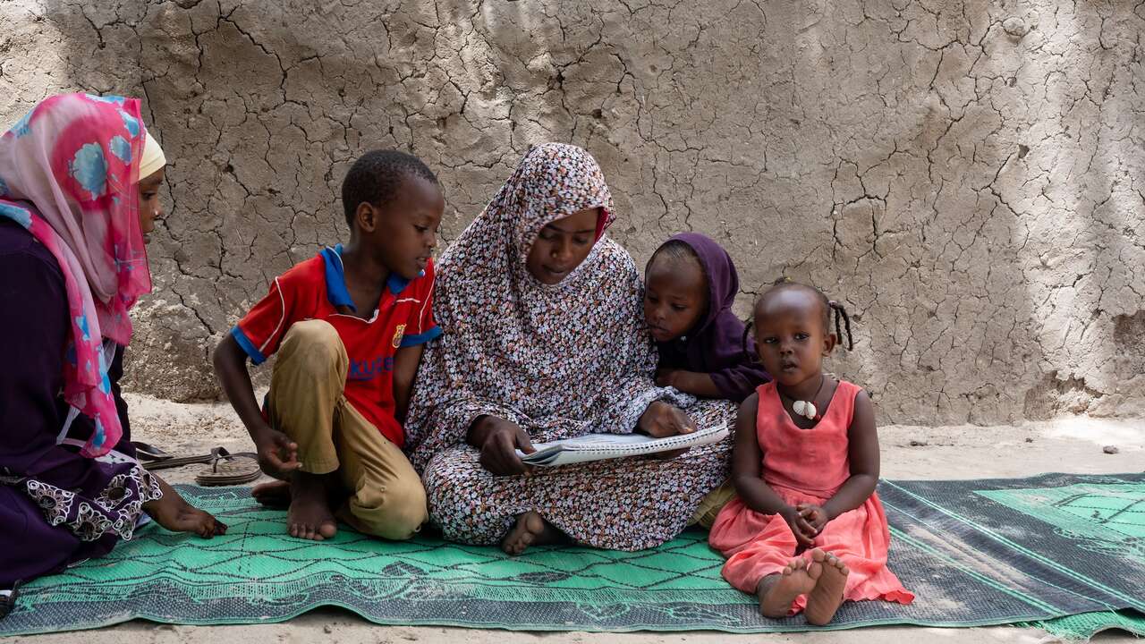 New world disorder: Support shrinks as crises surge | The IRC