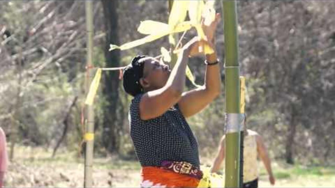 New Roots, Charlottesville | The IRC