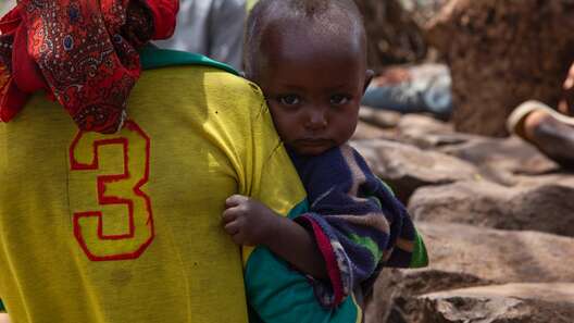 5 urgent problems the world faces in 2026 | The IRC