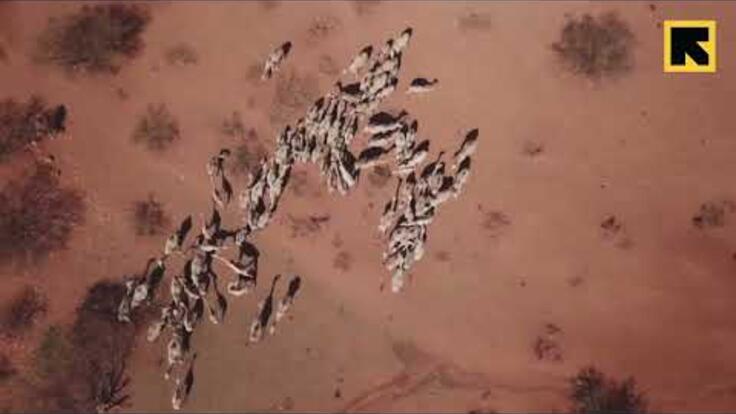 Latest | International Rescue Committee (IRC)