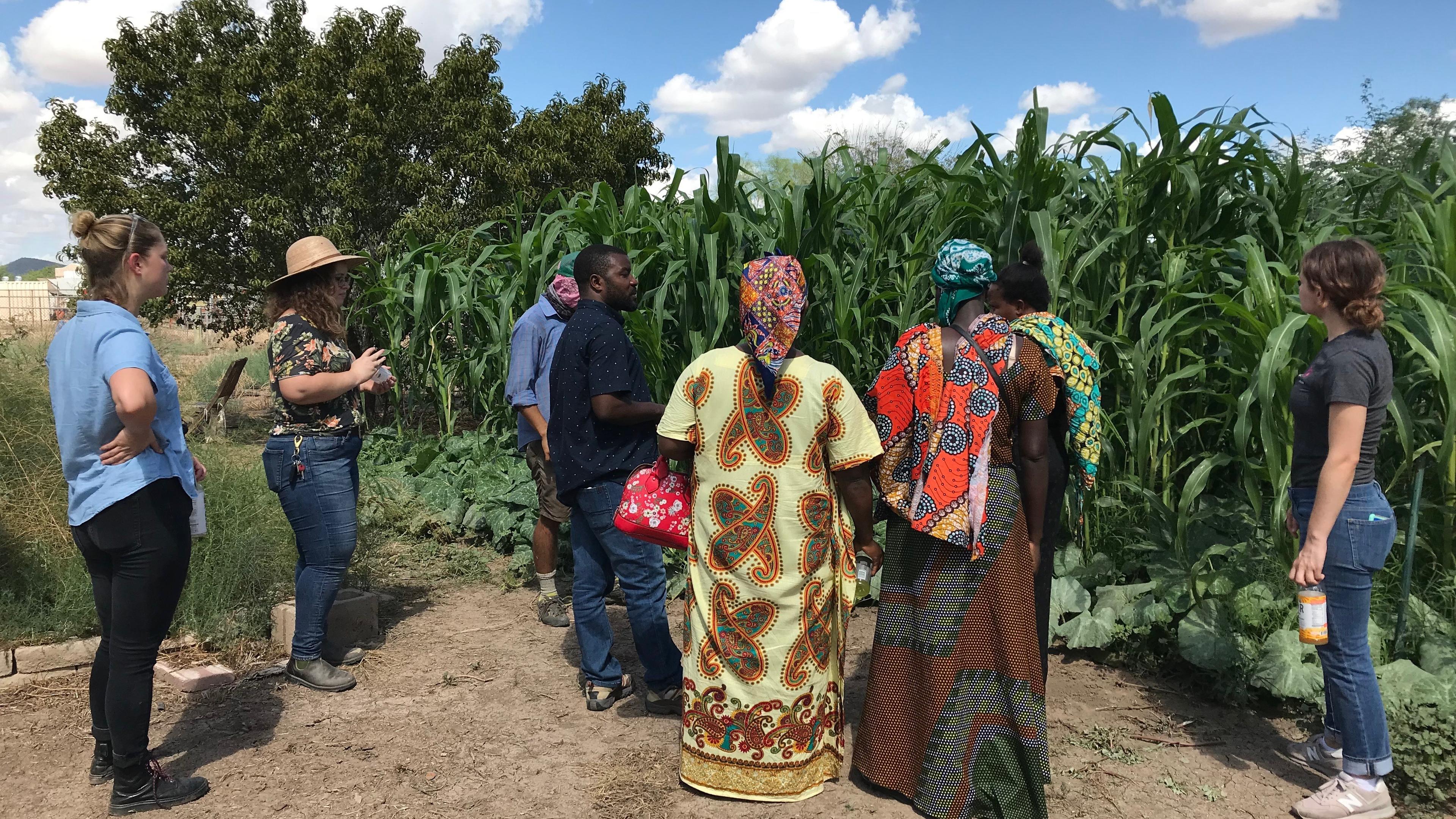 A Bountiful Summer at New Roots Tucson | International Rescue Committee ...