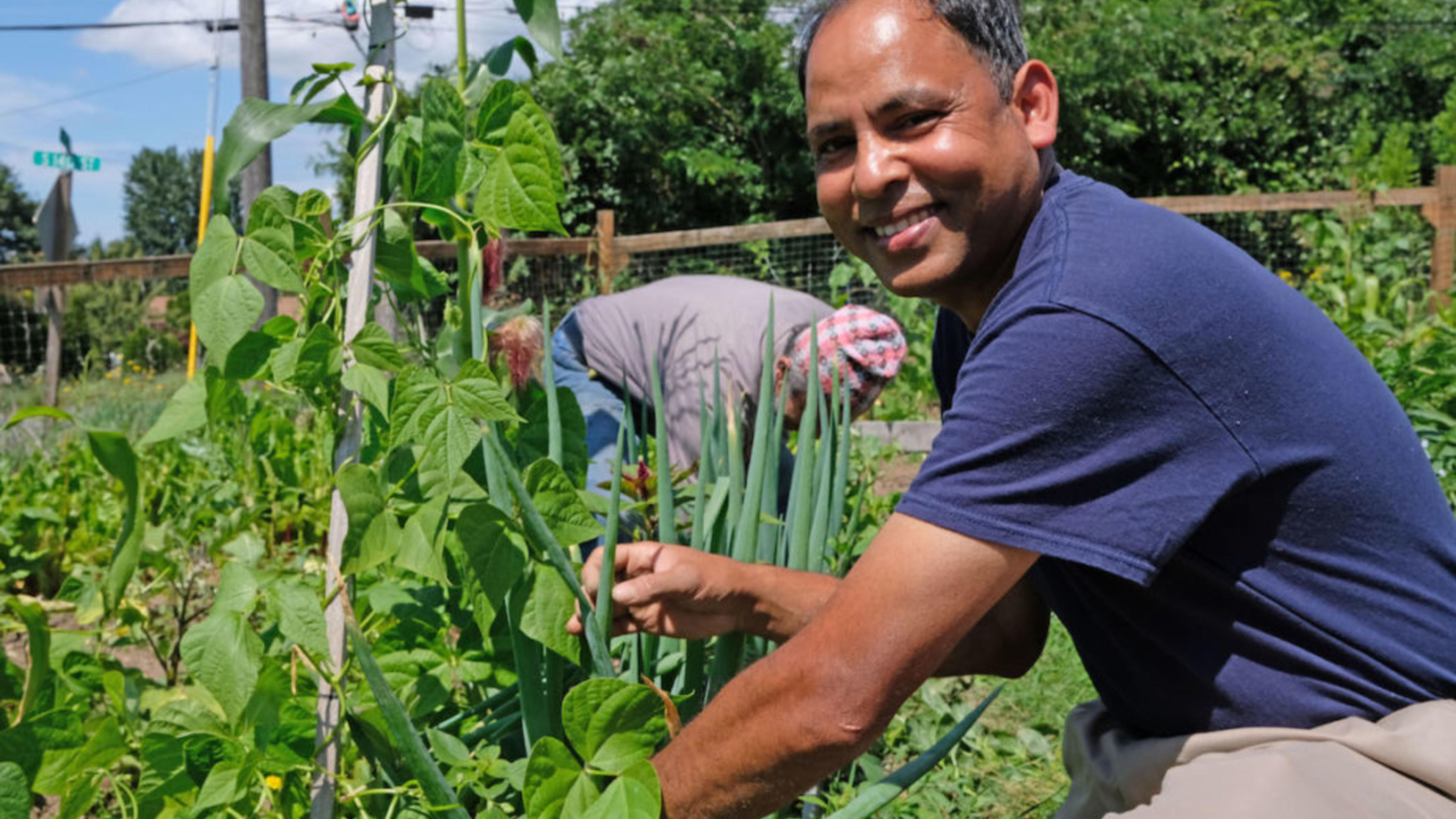 New Roots, New Opportunities | International Rescue Committee (IRC)