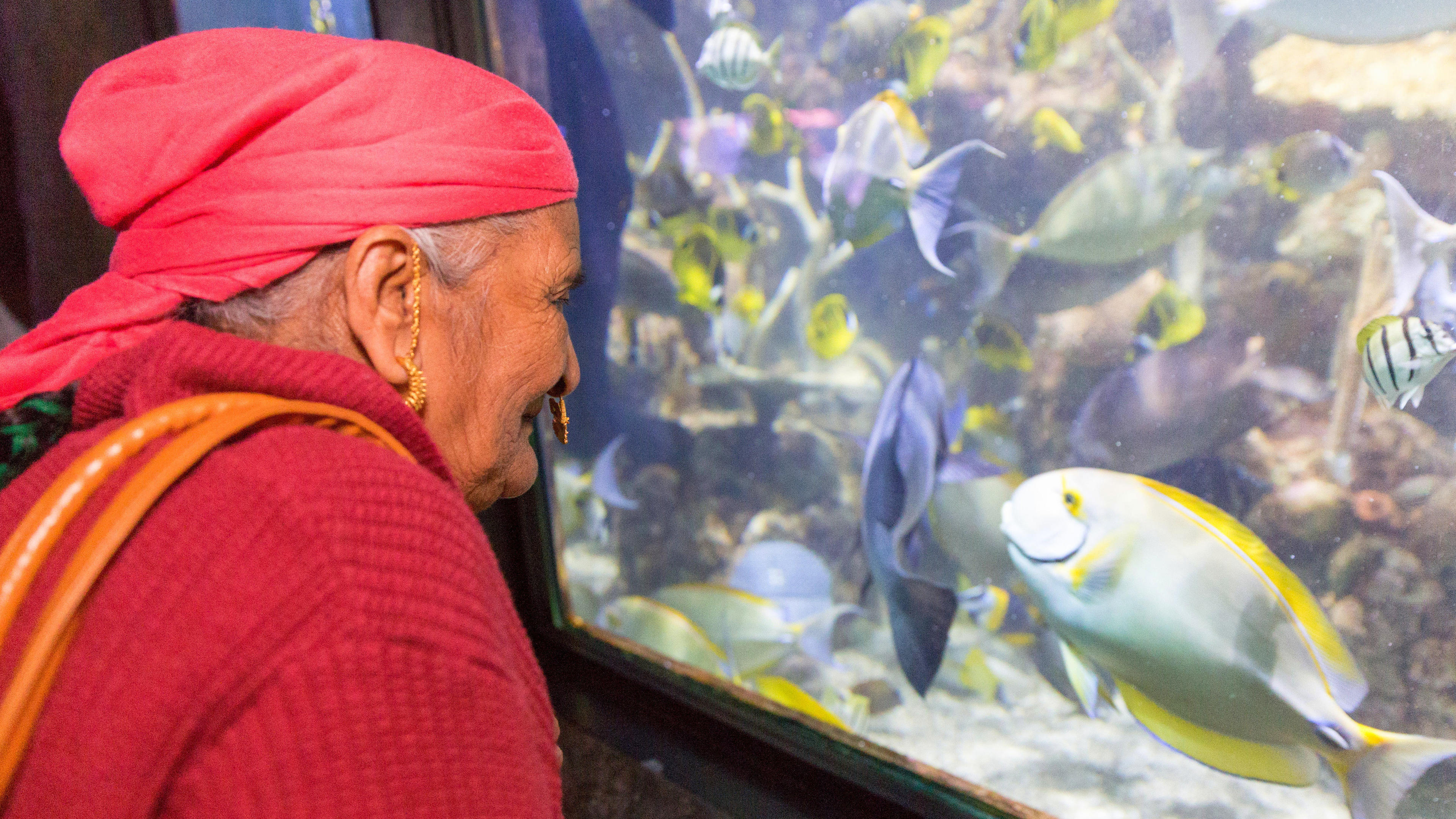 Empowering Refugee Seniors | International Rescue Committee (IRC)