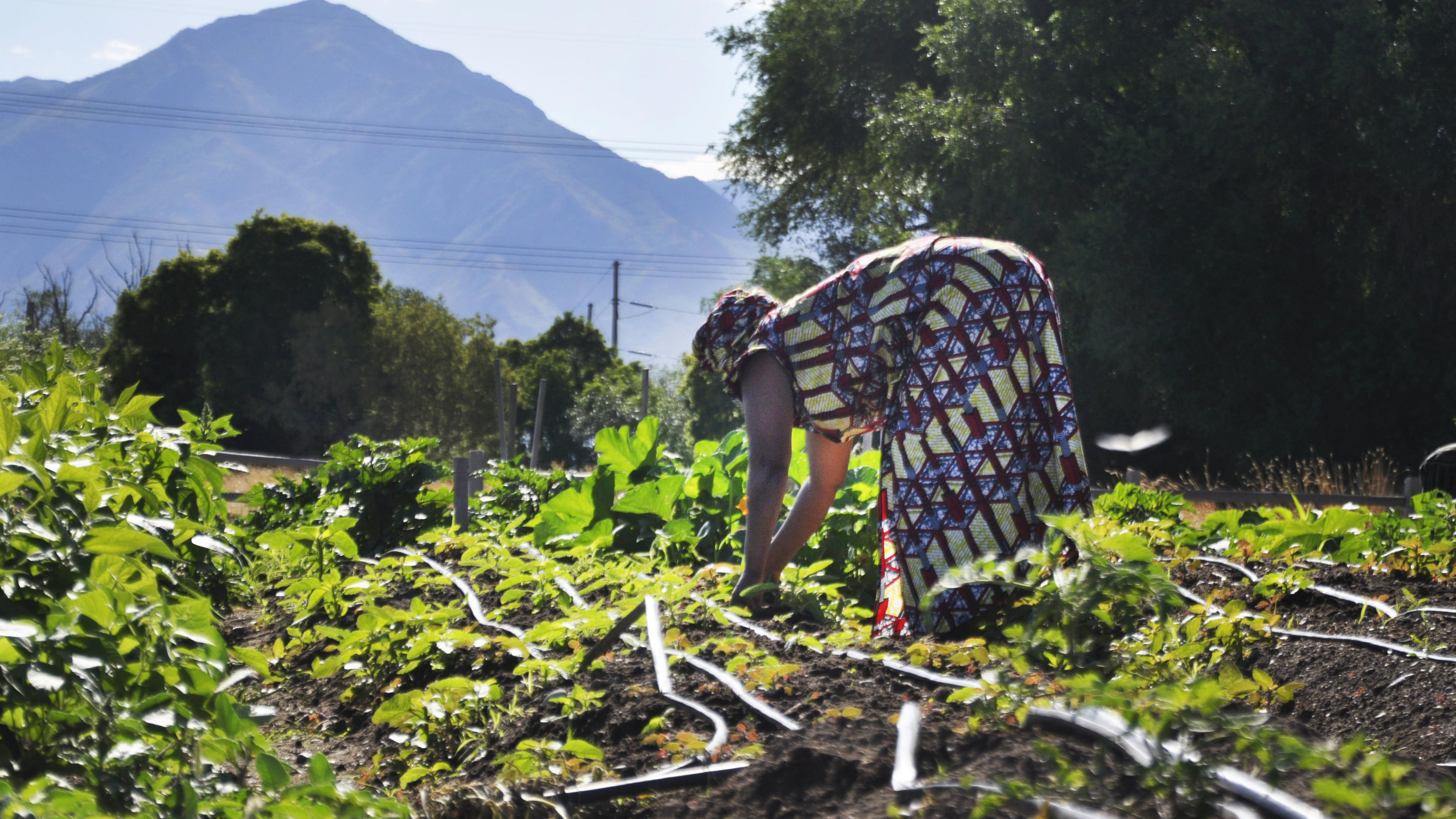 Refugee Resettlement: Positive Integration | International Rescue ...