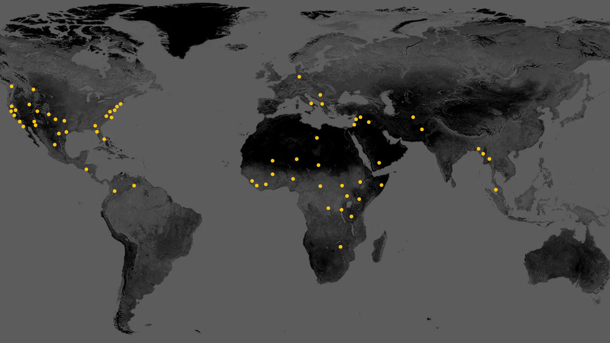 Latest | International Rescue Committee (IRC)